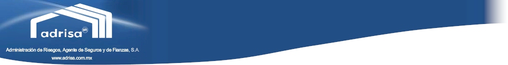 www.adrisa.com.mx - /utils/